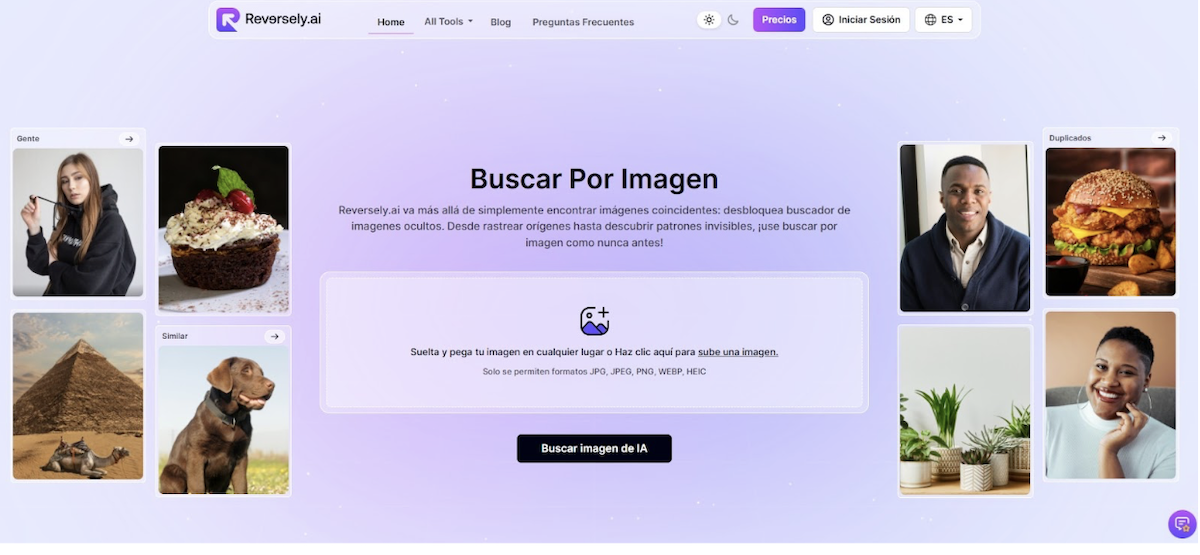 Búsqueda inversa de imágenes simplificada: una guía completa para ...