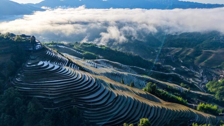 China ofrece terreno fértil para la innovación a empresas de todo el ...